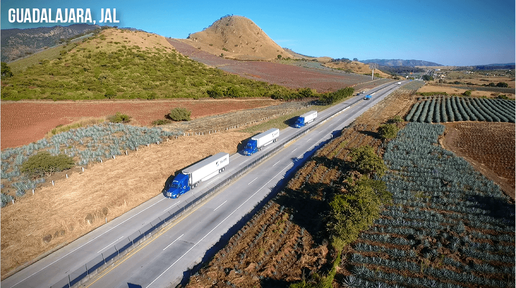 Transmex | TERMINALES