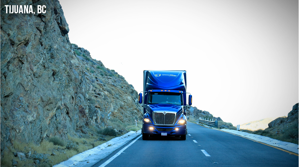 Transmex | TERMINALES